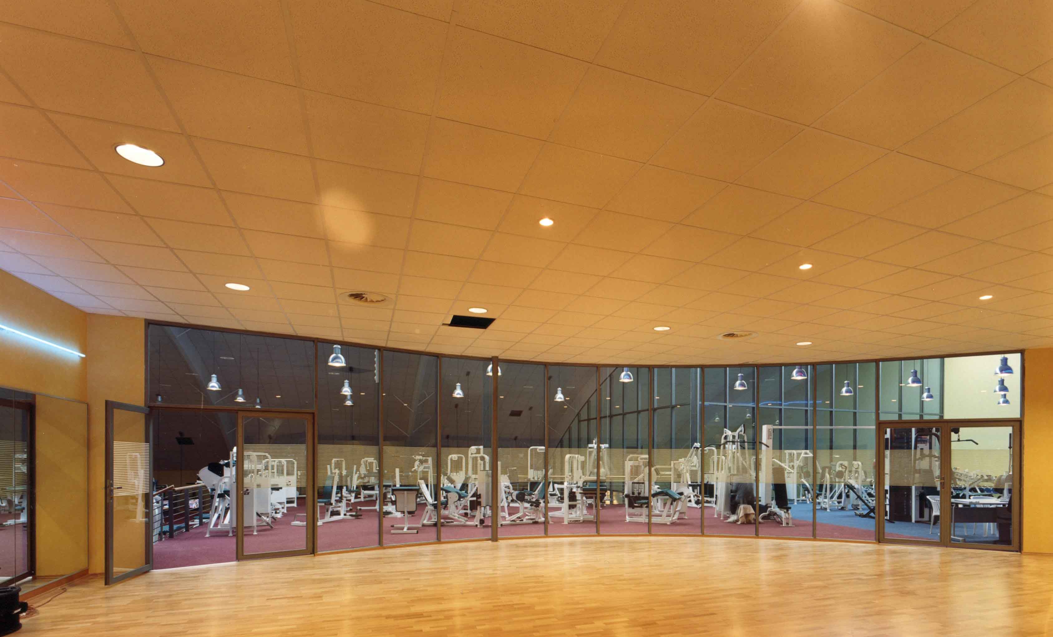 052-FitCom-1 | Feluxxon